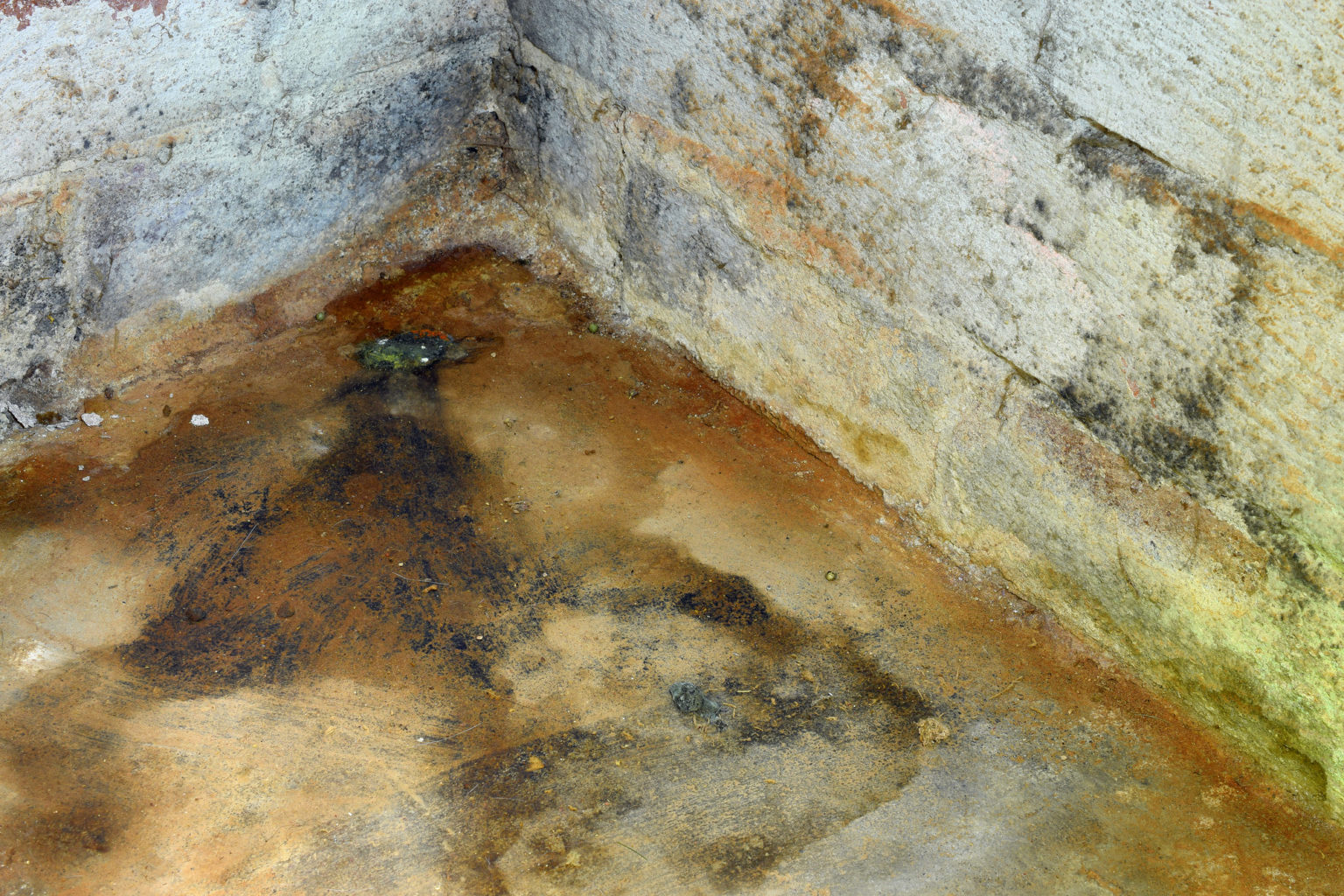 Your Complete Guide to Crawl Space Waterproofing