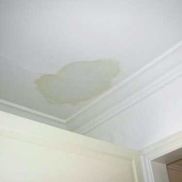 10 Signs You Have a Water Leak in Your Home